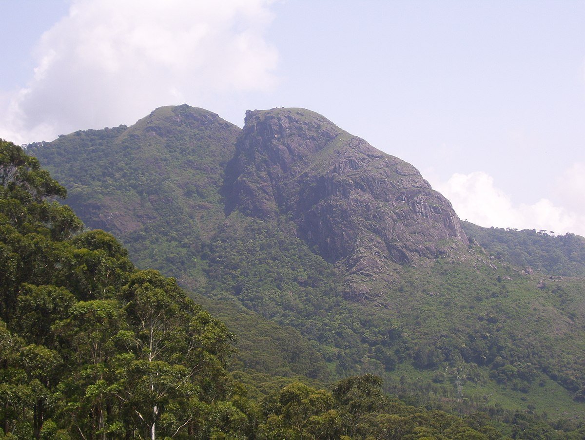 Frog Hill Viewpoint - Twintree Kotagiri